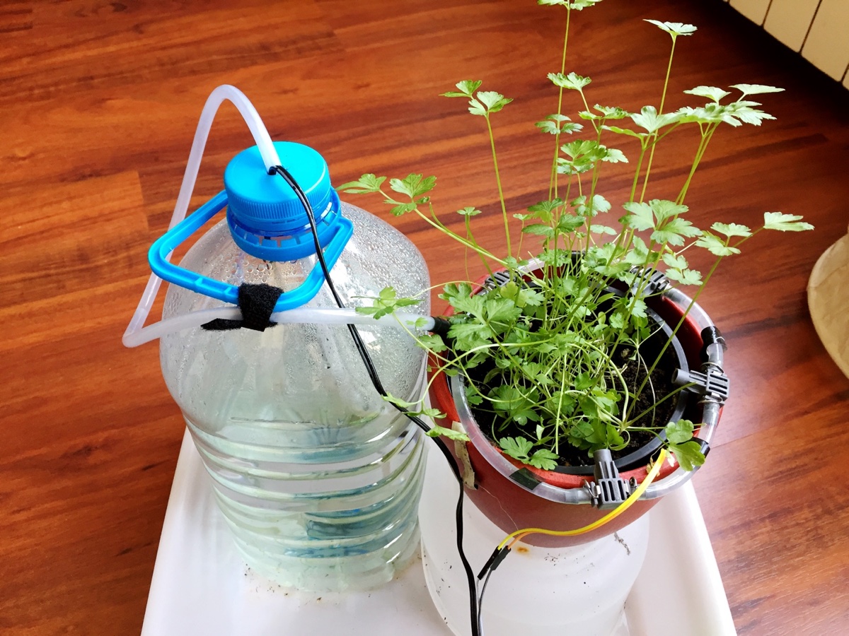 The World's Most Advanced Flower Pot – Hi, I'm Rubén